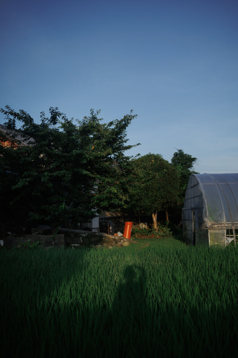 徳島ただいま〜！2024年夏も里帰りしました | ニューヨーク前撮りフォトウェディング | HIROKO photography